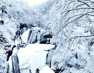 Frozen Fukuroda Falls (Fukuroda No Taki Waterfall) - Nearby Tokyo