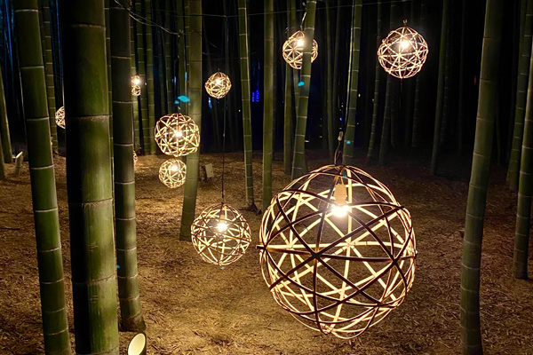 Bamboo Winter Lights - Wakayama Farm