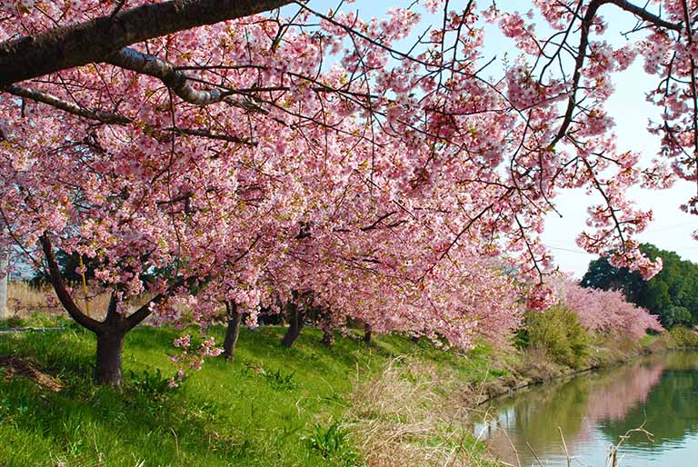 Things to do in Kuki